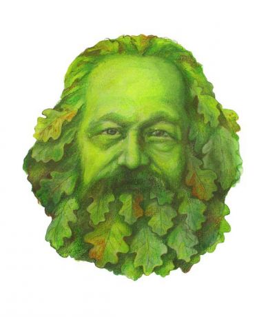 Das Environment: Marx, Engels and radical ecology | socialist.ca